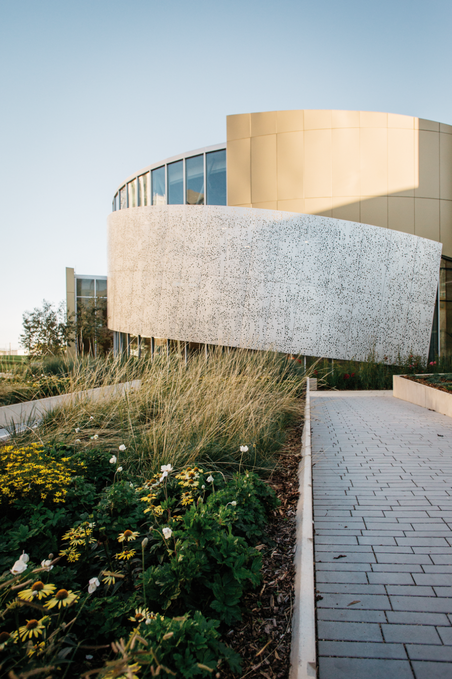 Services - DIALOG | DIALOG