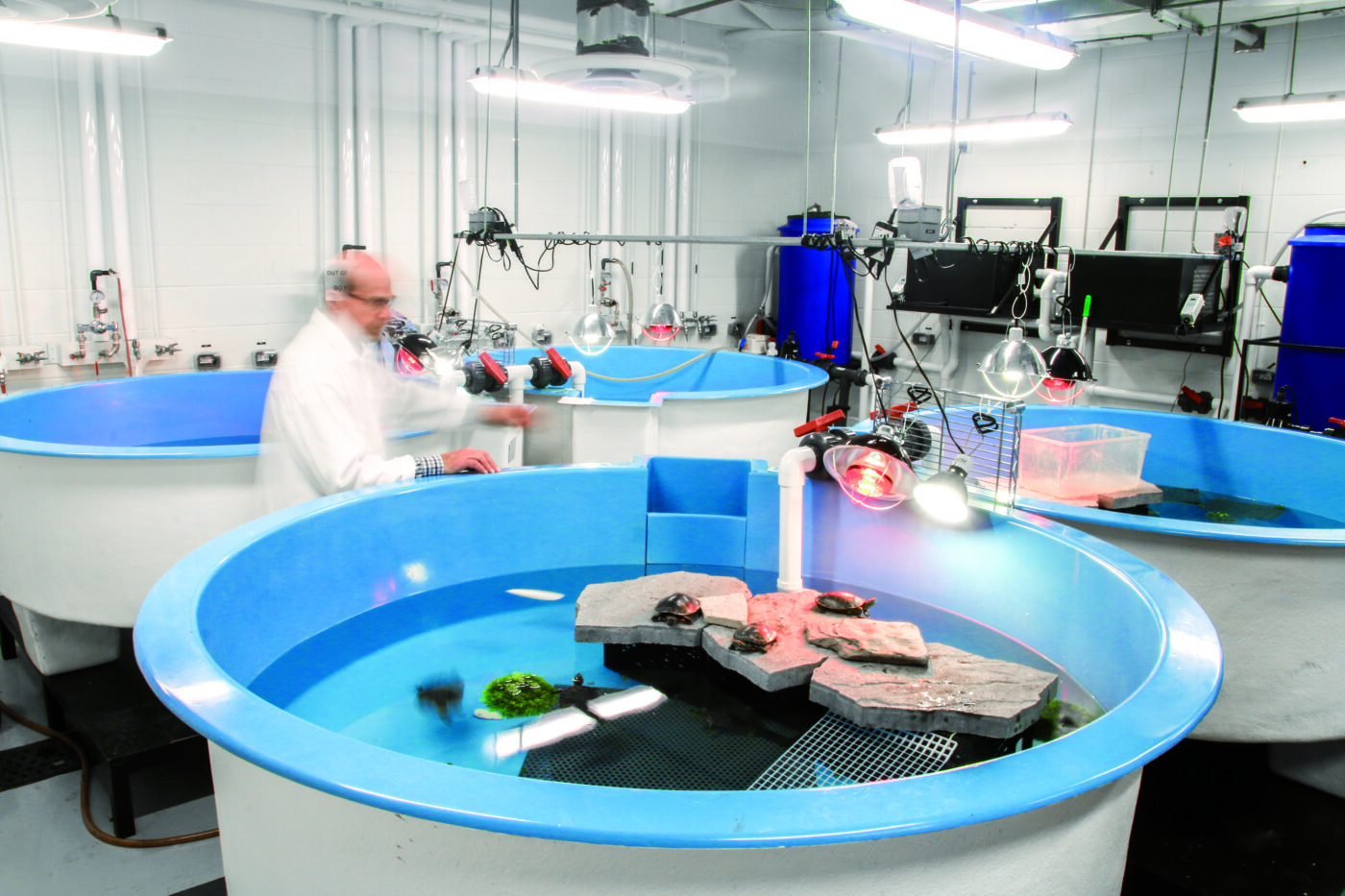 University of Toronto - Ramsay Wright Laboratories Building Renewal - DIALOG | DIALOG