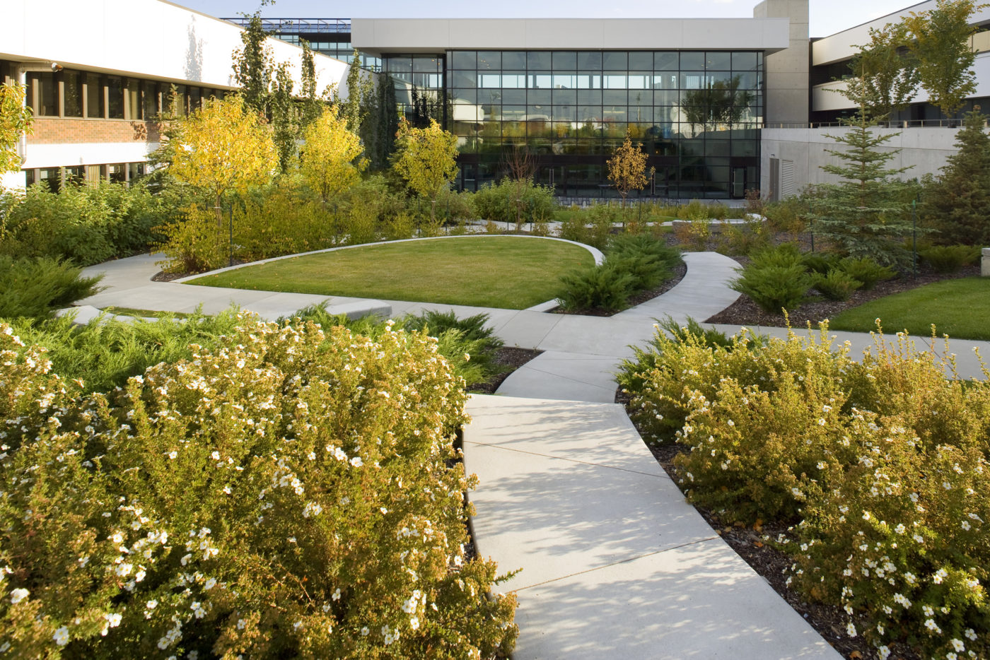 Ross Grieve PCL Centennial Learning Centre - DIALOG | DIALOG
