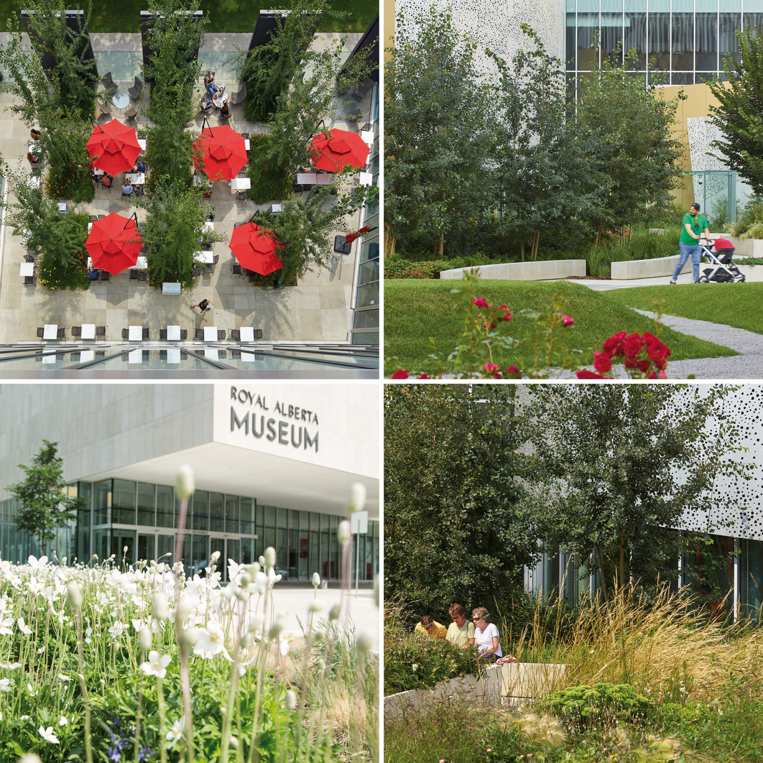 Royal Alberta Museum - DIALOG | DIALOG