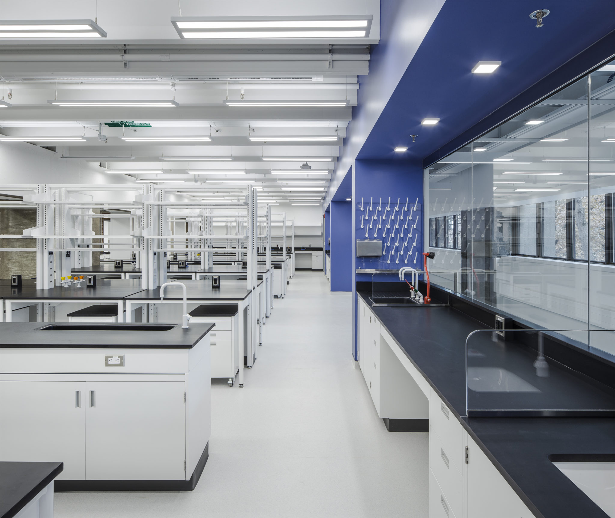 York University - Farquharson Life Sciences Building - DIALOG | DIALOG