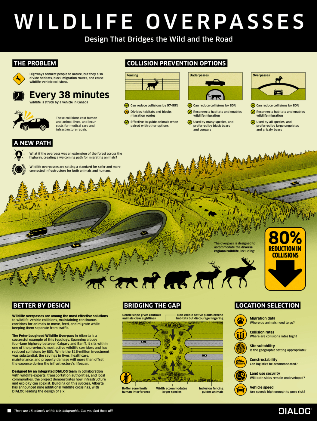 Peter Lougheed Wildlife Overpass: Bridging the Wild and the Road | DIALOG