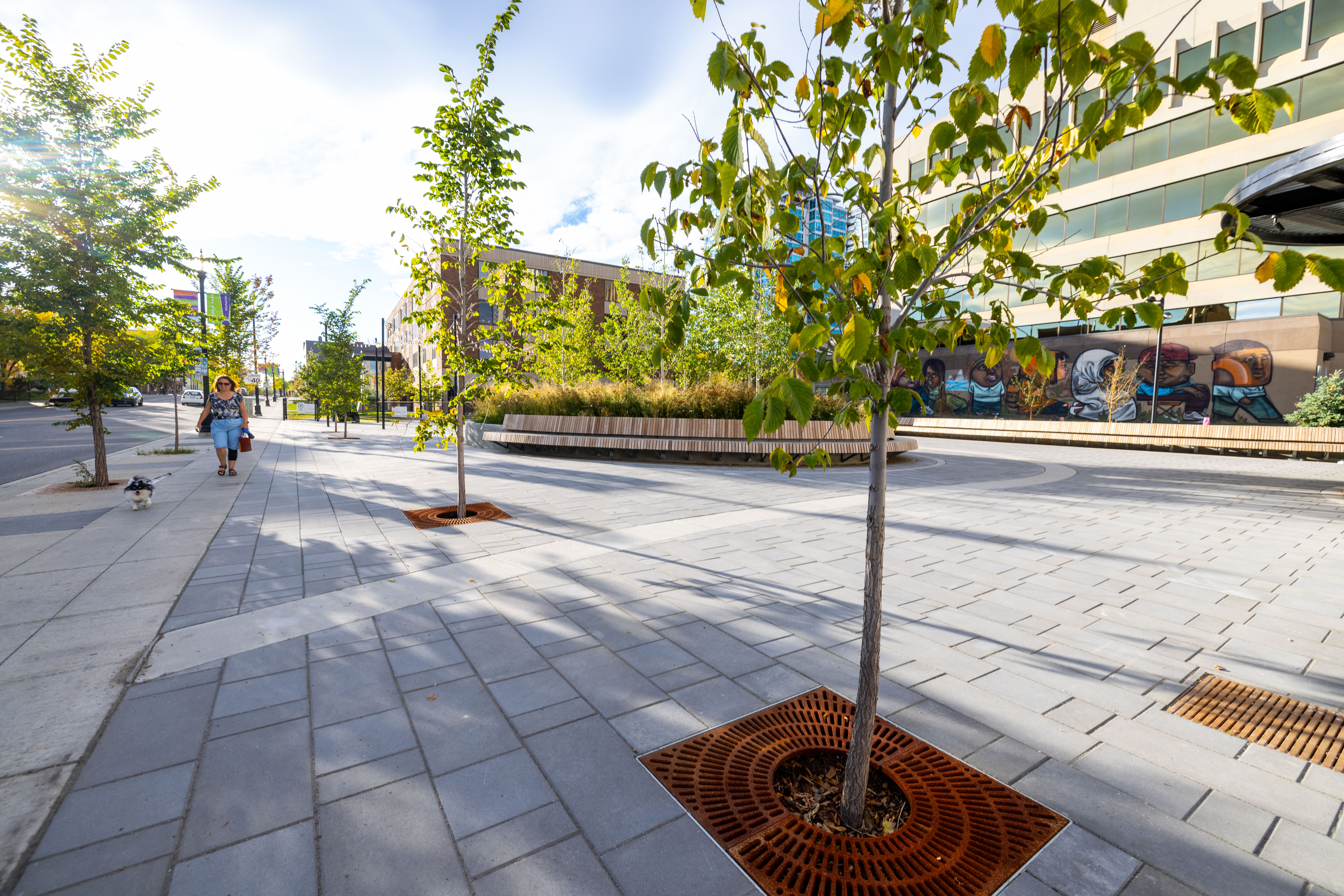 DIALOG Revitalizes Underutilized Urban Space into Vibrant, Accessible ...